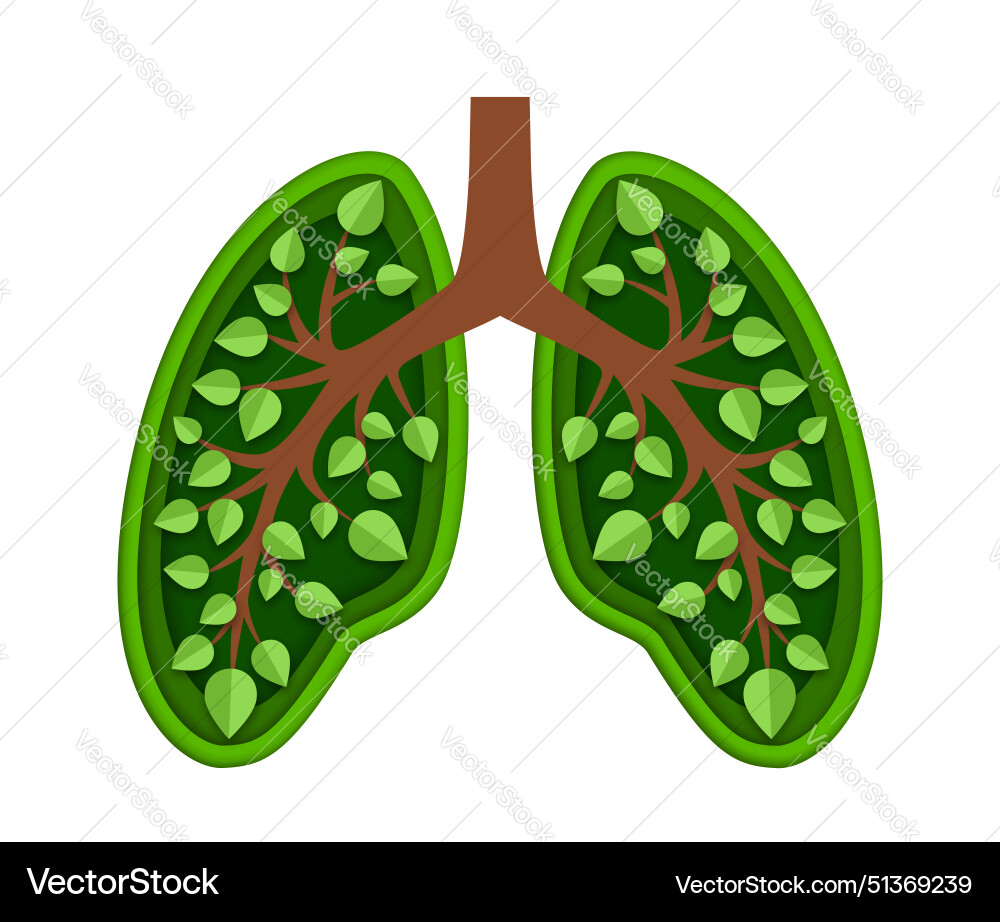 Lungs with green leaves isolated paper cut Vector Image