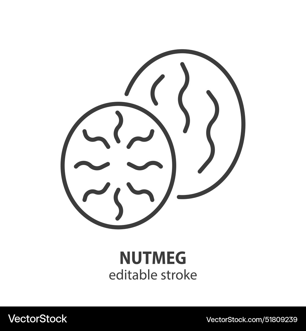 Nutmeg line icon spice symbol Royalty Free Vector Image