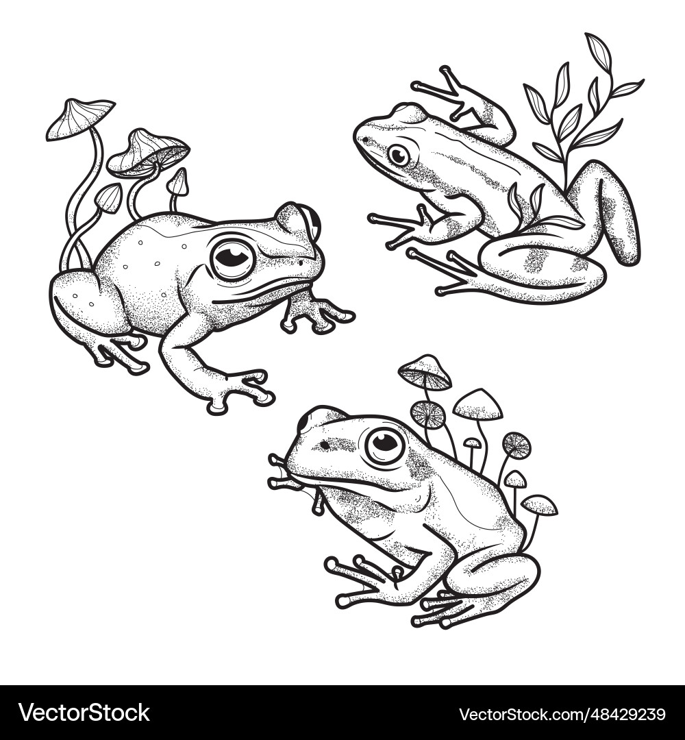 Set of frogs line art Royalty Free Vector Image