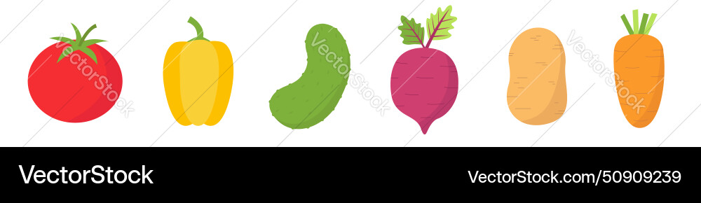 Vegetable icon set line root beet carrot potato Vector Image