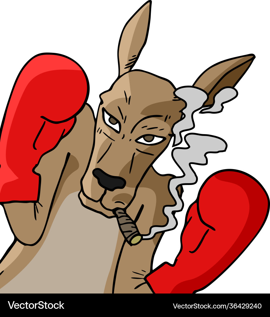 Fighting boxing Royalty Free Vector Image - VectorStock