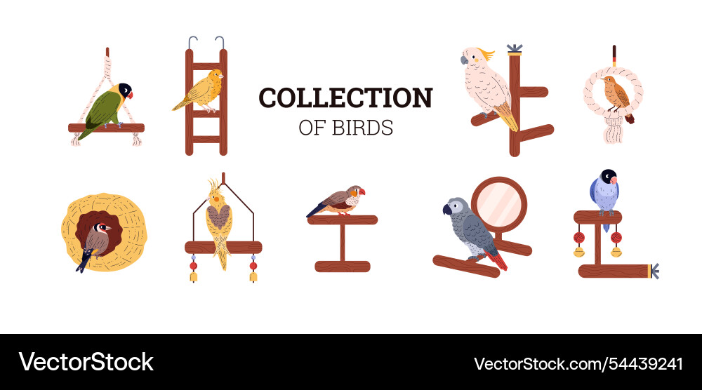 A banner with collection Royalty Free Vector Image