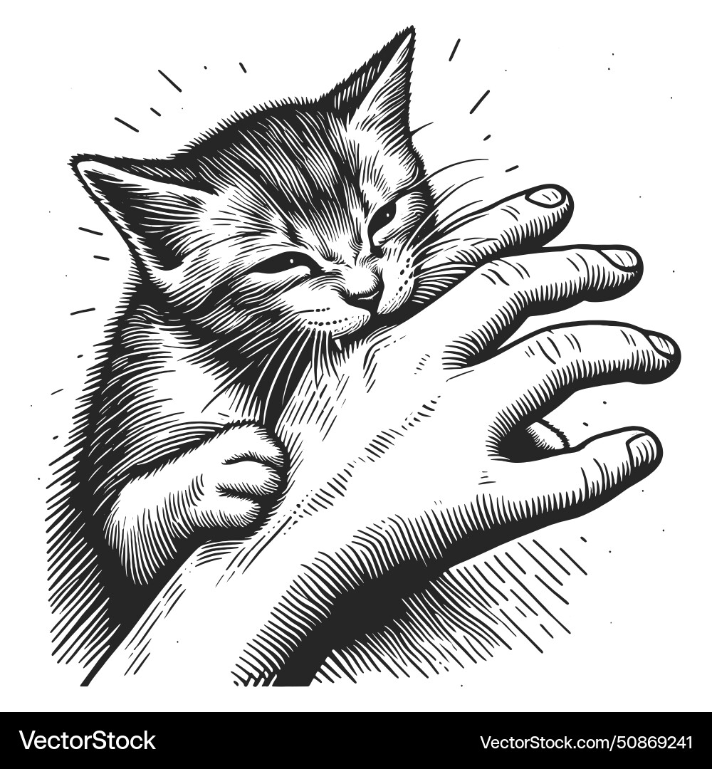Kitten bites hand engraving sketch Royalty Free Vector Image