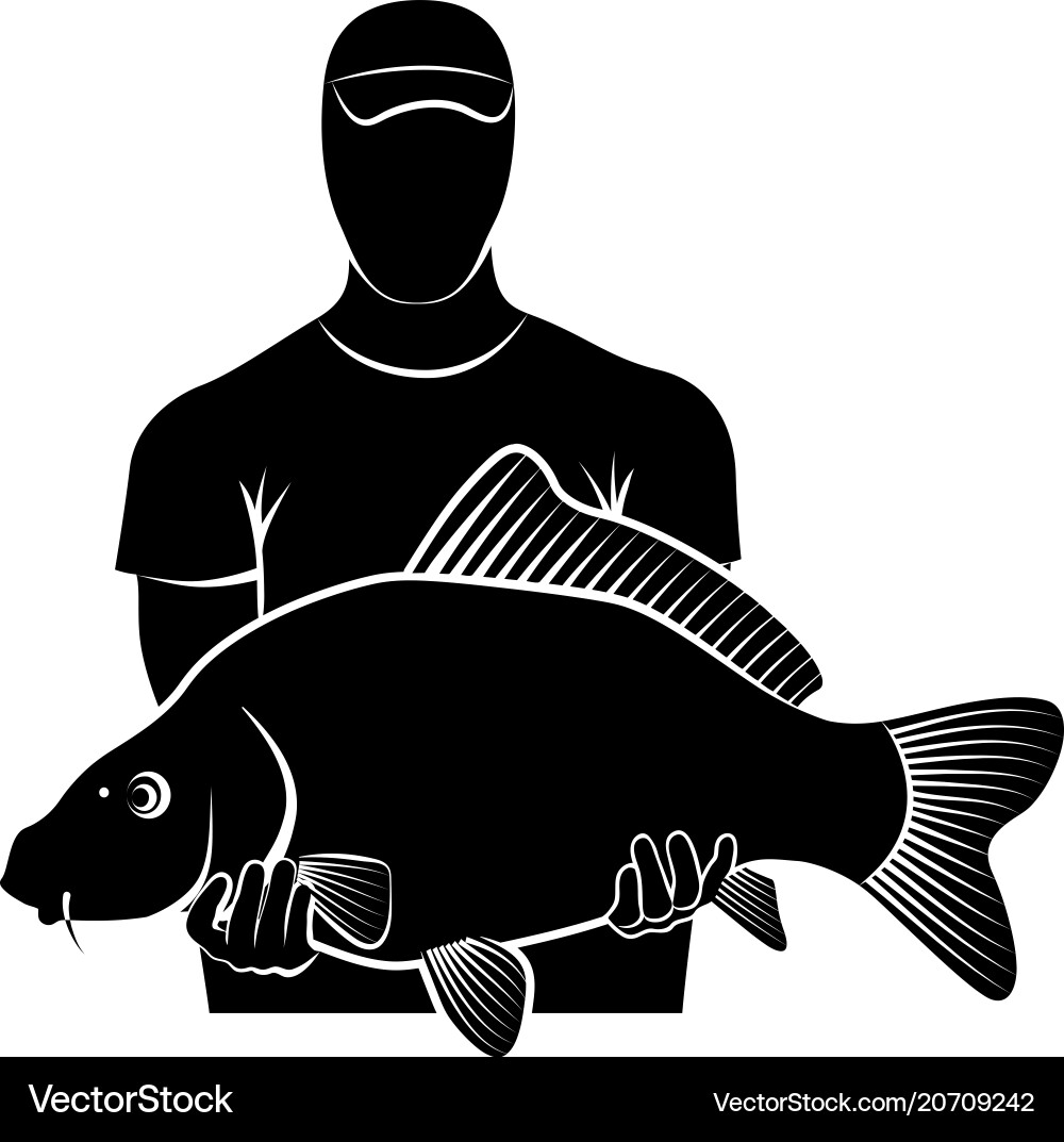 Carp Royalty Free Vector Image - VectorStock