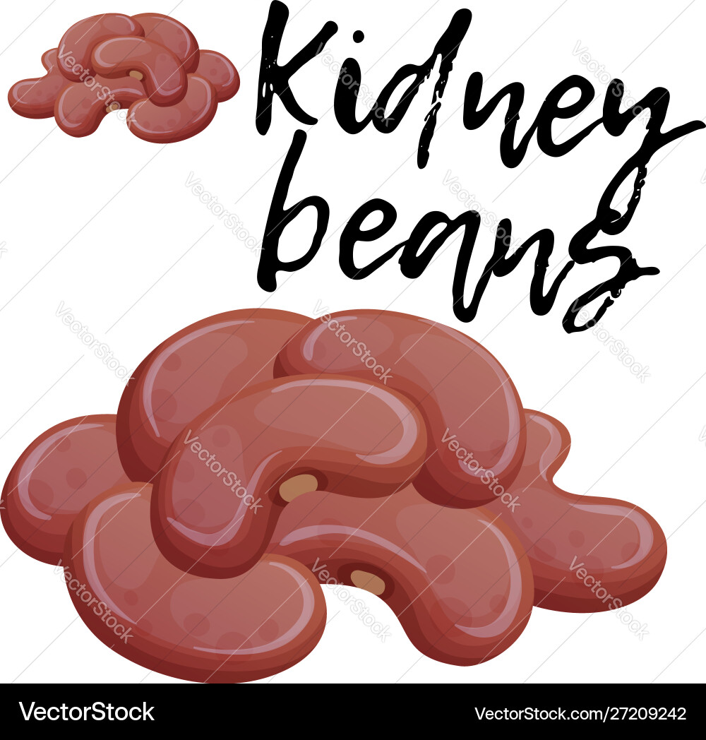Kidney beans icon cartoon Royalty Free Vector Image