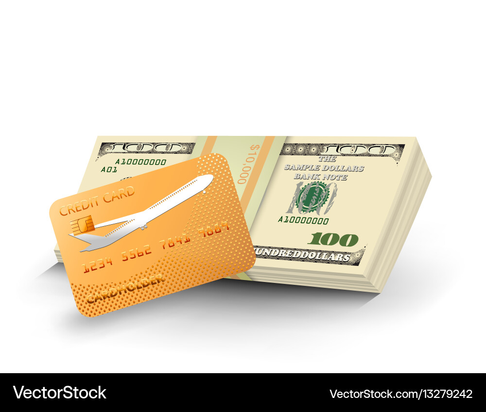 Money Stacks with Credit Card Royalty Free Vector Image