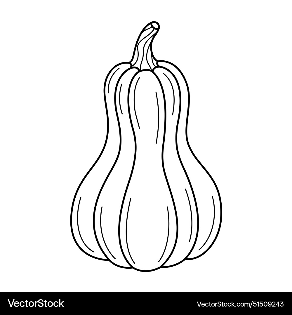 Pumpkin doodle icon art therapy coloring page Vector Image