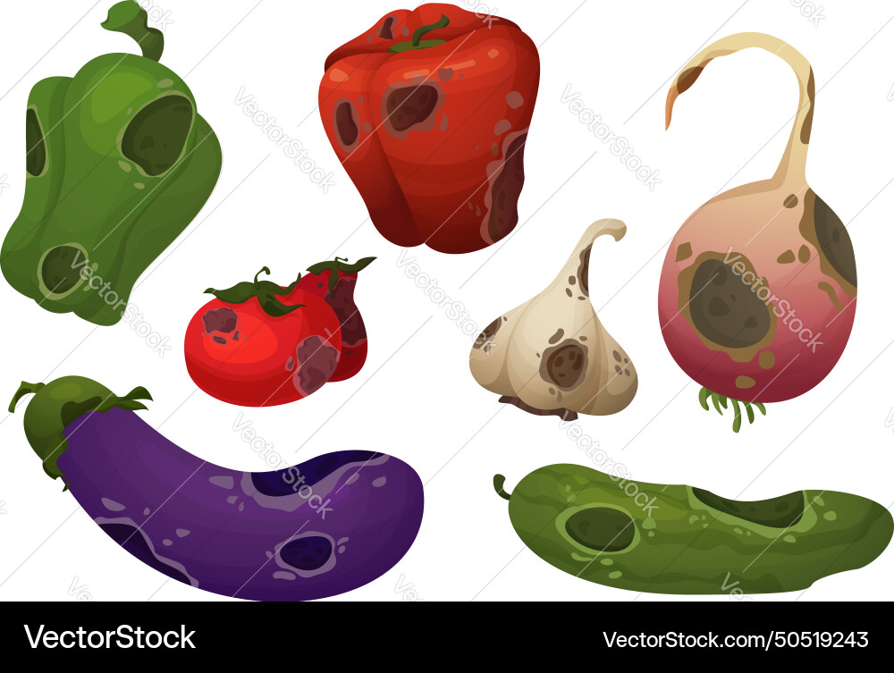 Spoiled Vegetables - Decay & Rot Royalty Free Vector