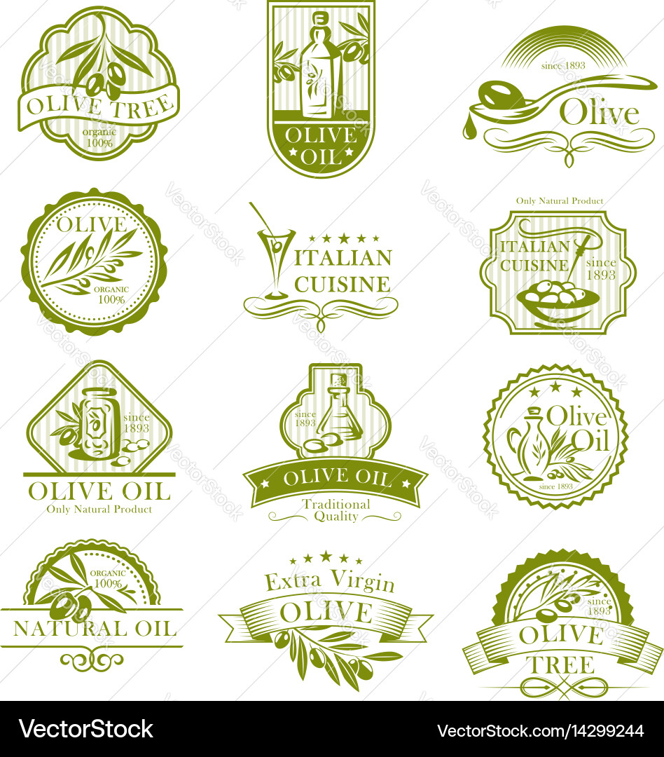 Olive Oil & Olives Collection Royalty Free Vector Image