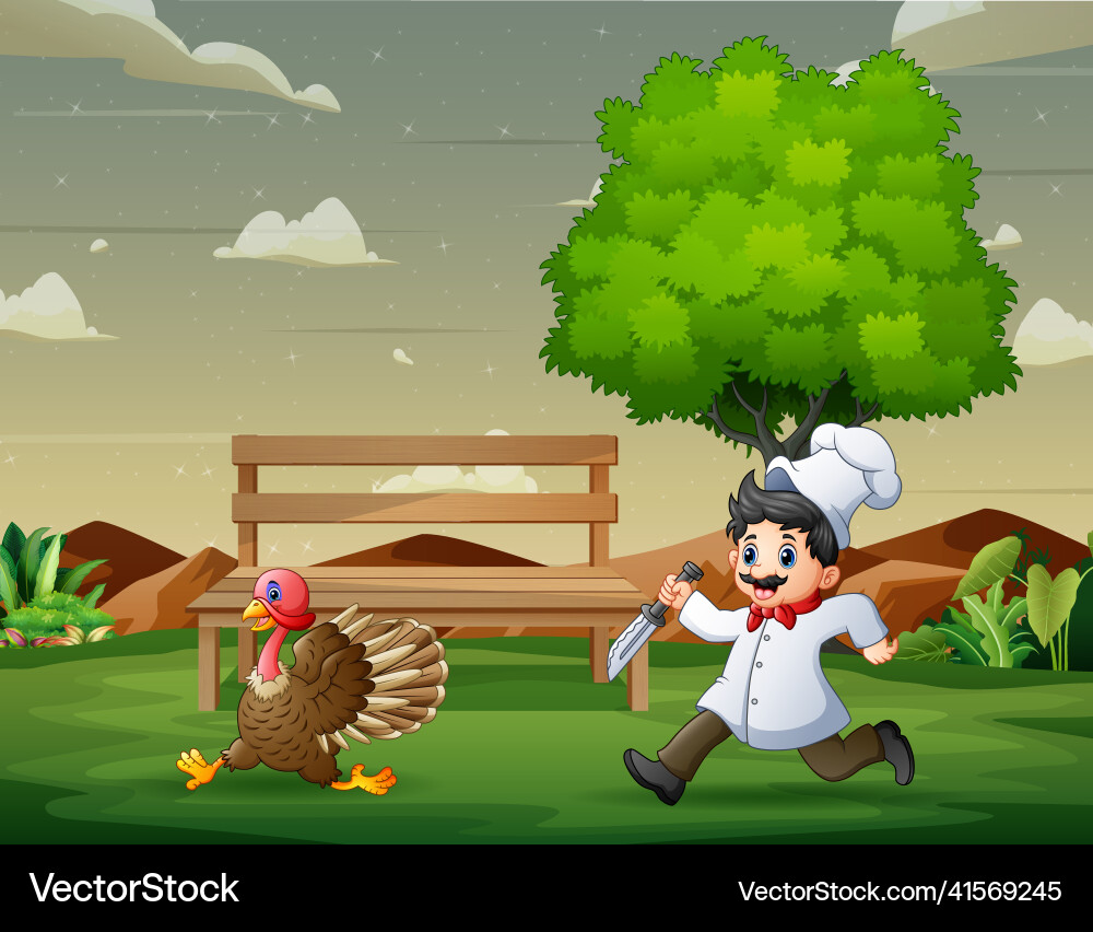 Chef Chasing Turkey Outdoors Royalty Free Vector Image