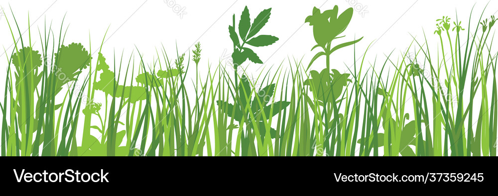 Green grass meadow Royalty Free Vector Image - VectorStock