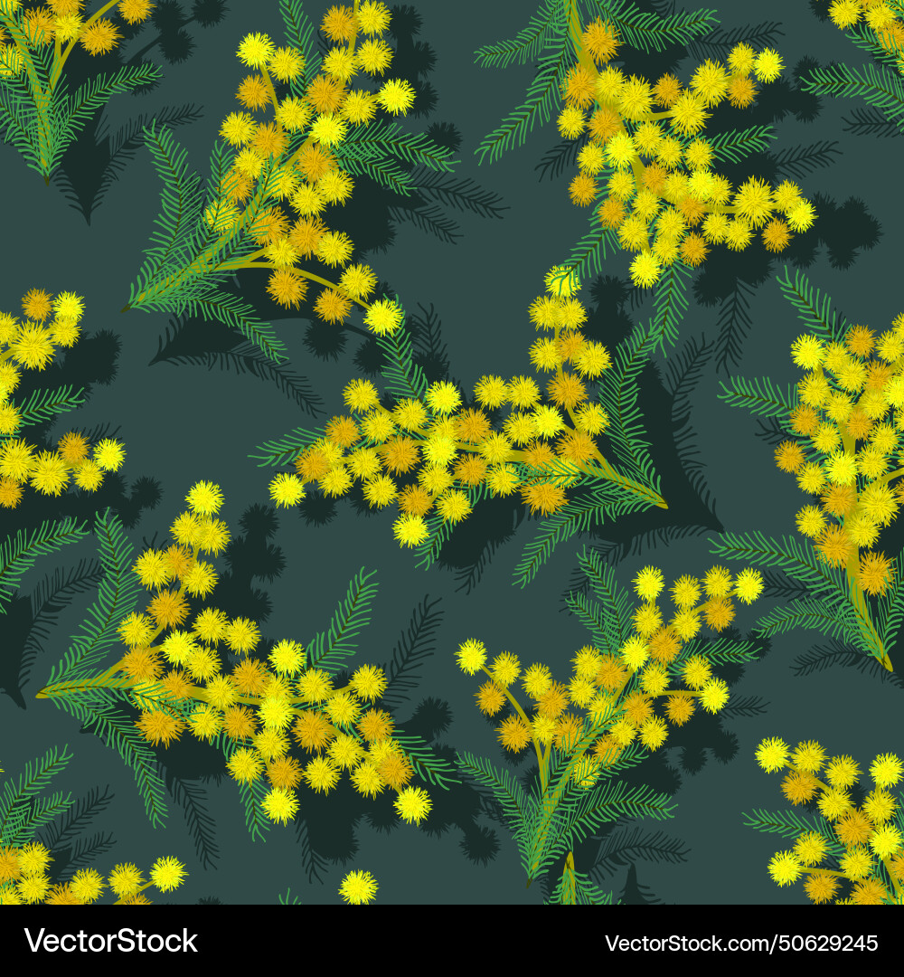 Mimosa branches in a pattern Royalty Free Vector Image