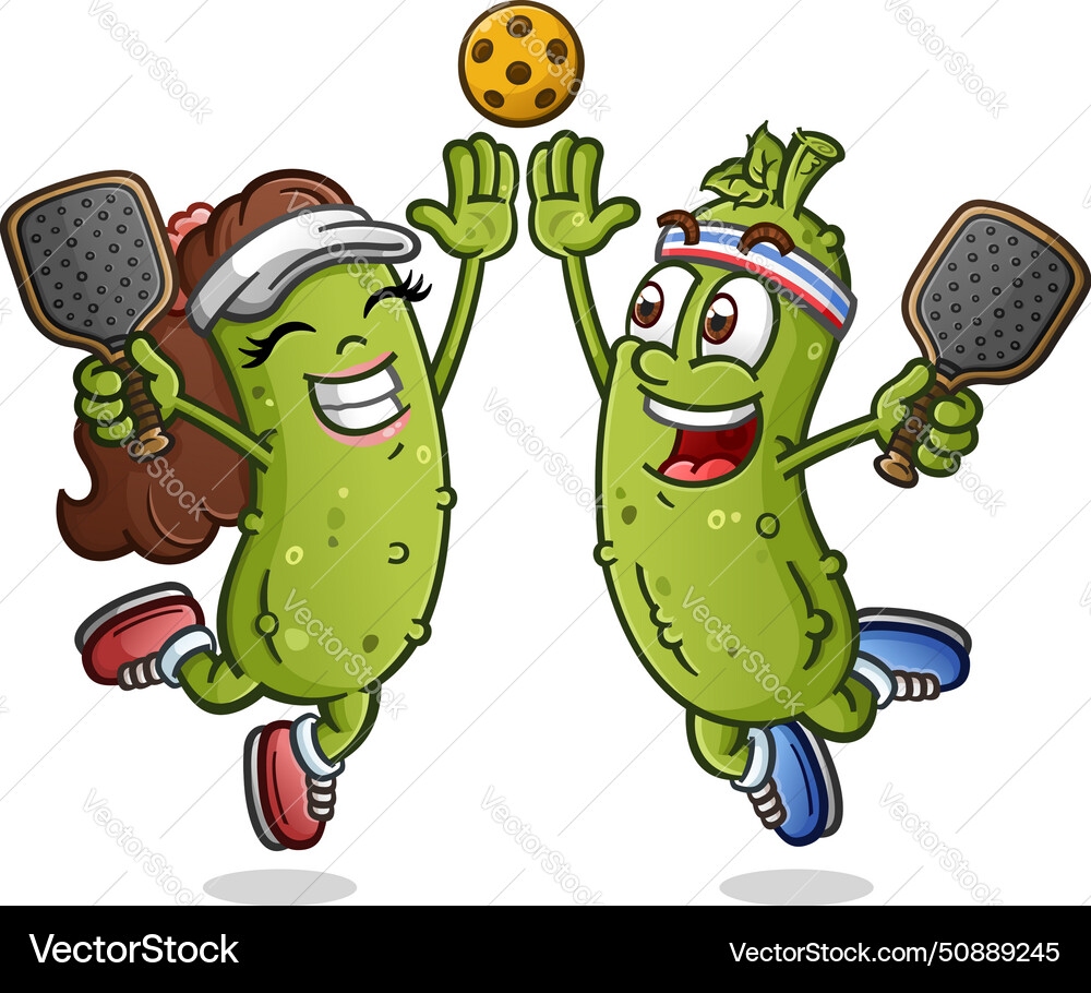 Pickleball couple celebrating victory high five Vector Image