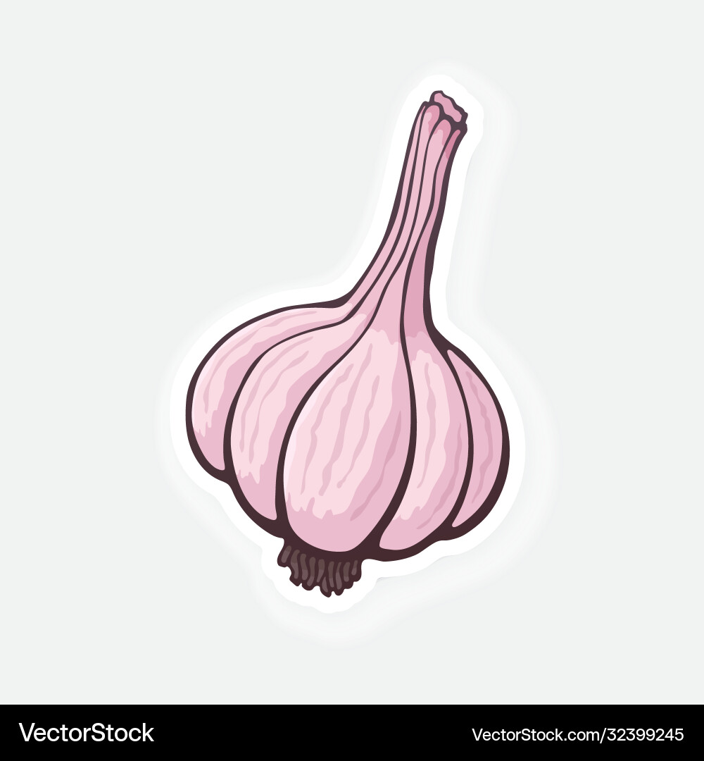 Sticker garlic Royalty Free Vector Image - VectorStock