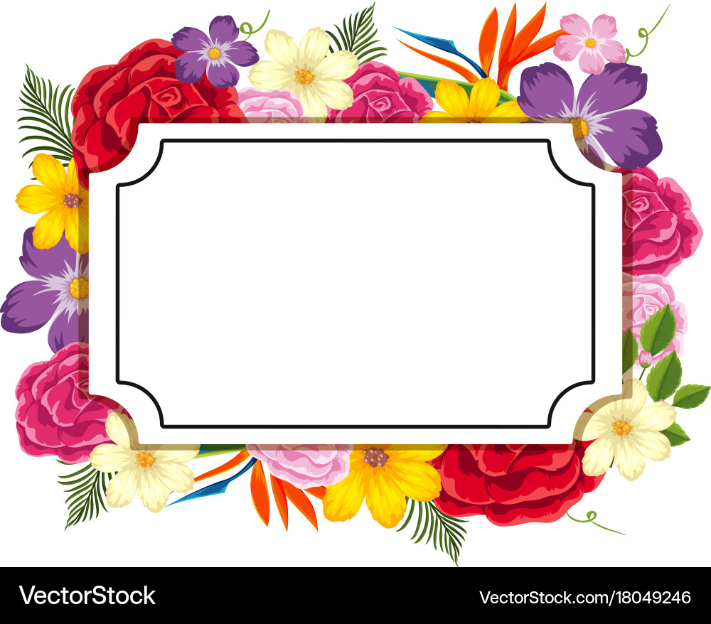 Colorful Flower Frames And Borders