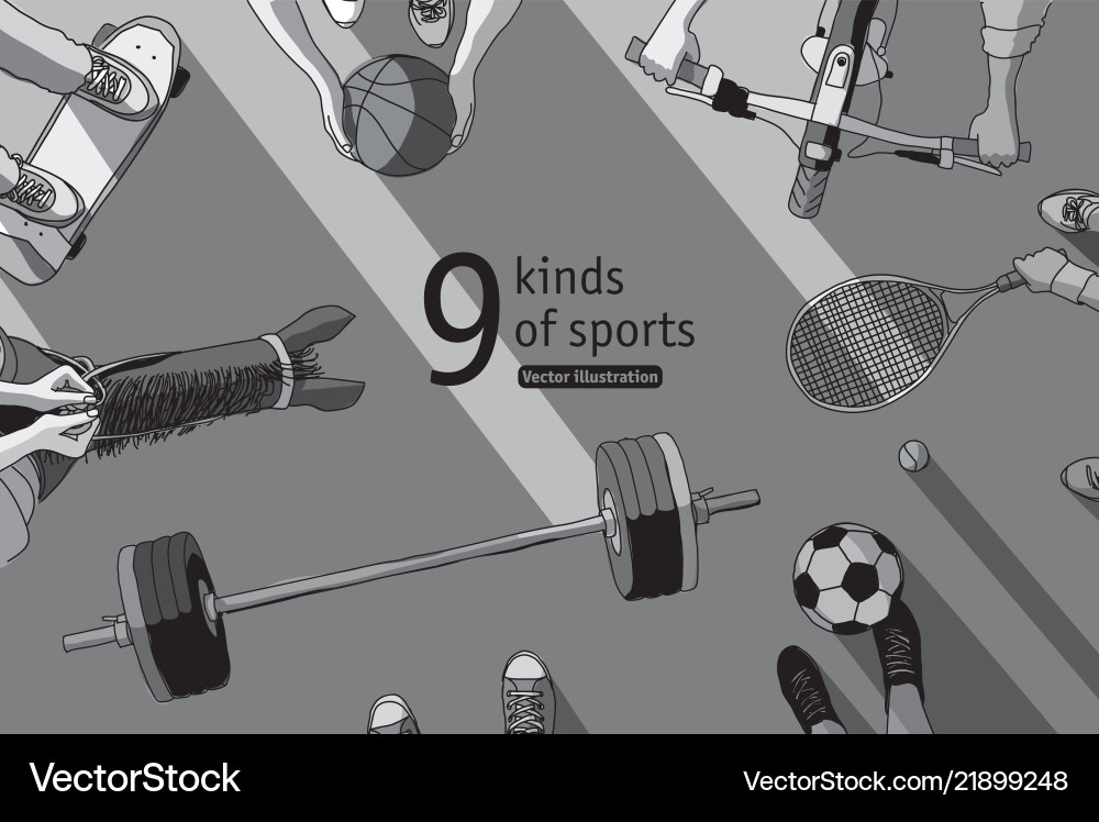 Different sports and athletes set top view Vector Image