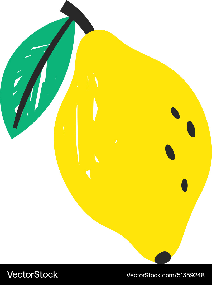 Lemon fruit sketch Royalty Free Vector Image - VectorStock