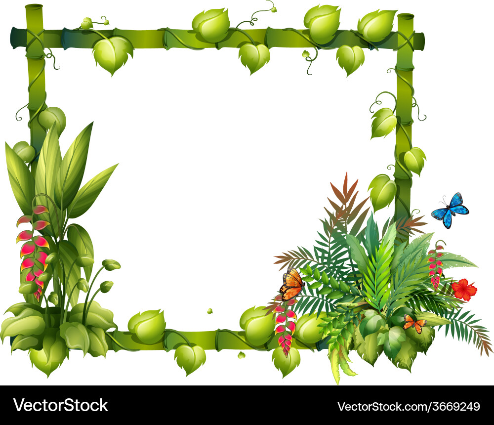 Flower frame Royalty Free Vector Image - VectorStock