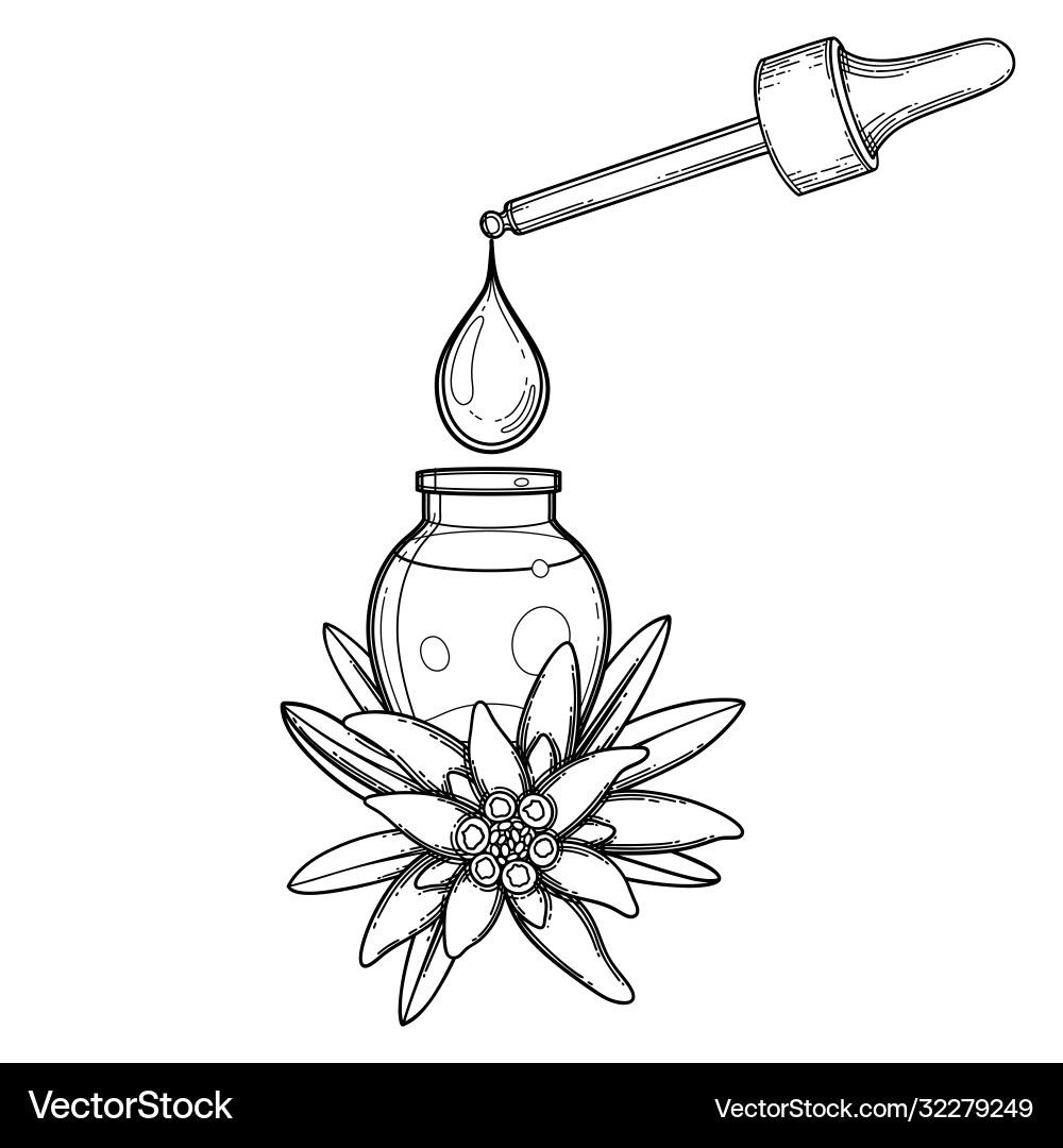 Graphic oil drop dripping from dropper inside Vector Image