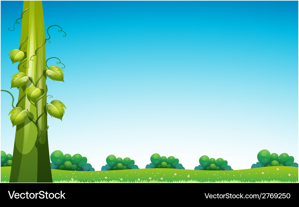 Beanstalk in field Royalty Free Vector Image - VectorStock