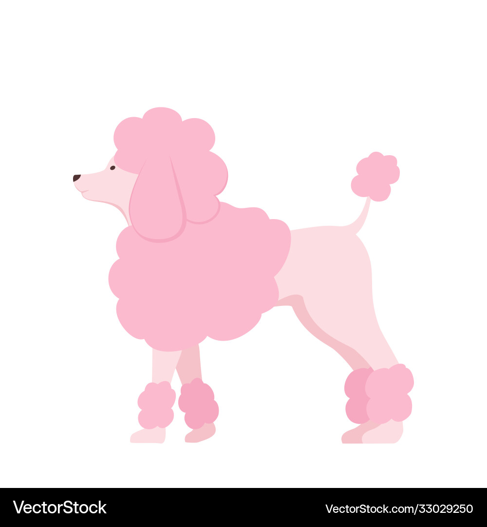 Pink Poodle Cartoon Royalty Free Vector Image - VectorStock