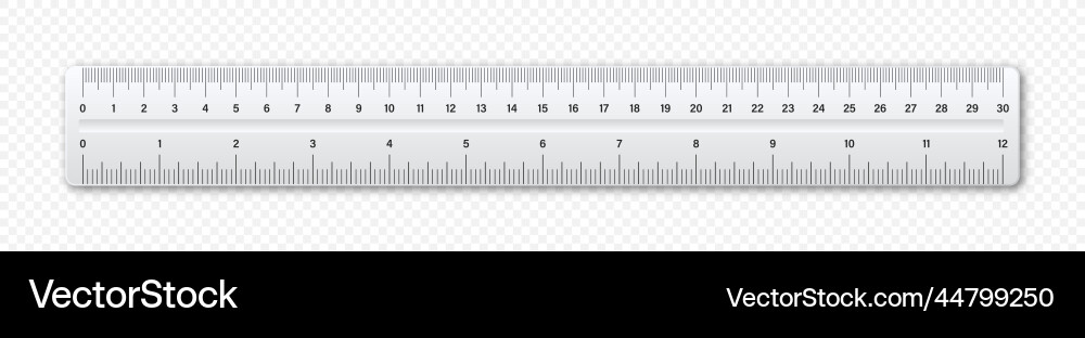 Realistic plastic ruler with measurement scale Vector Image