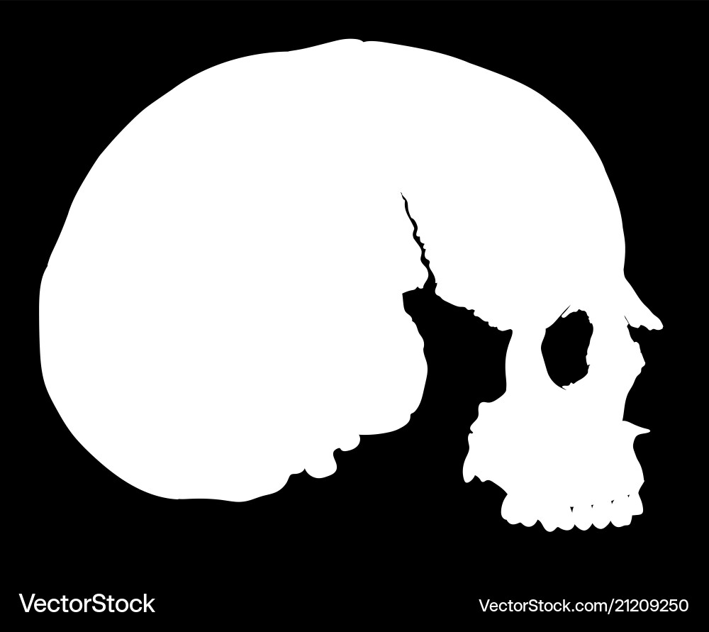 Simple skull in profile Royalty Free Vector Image