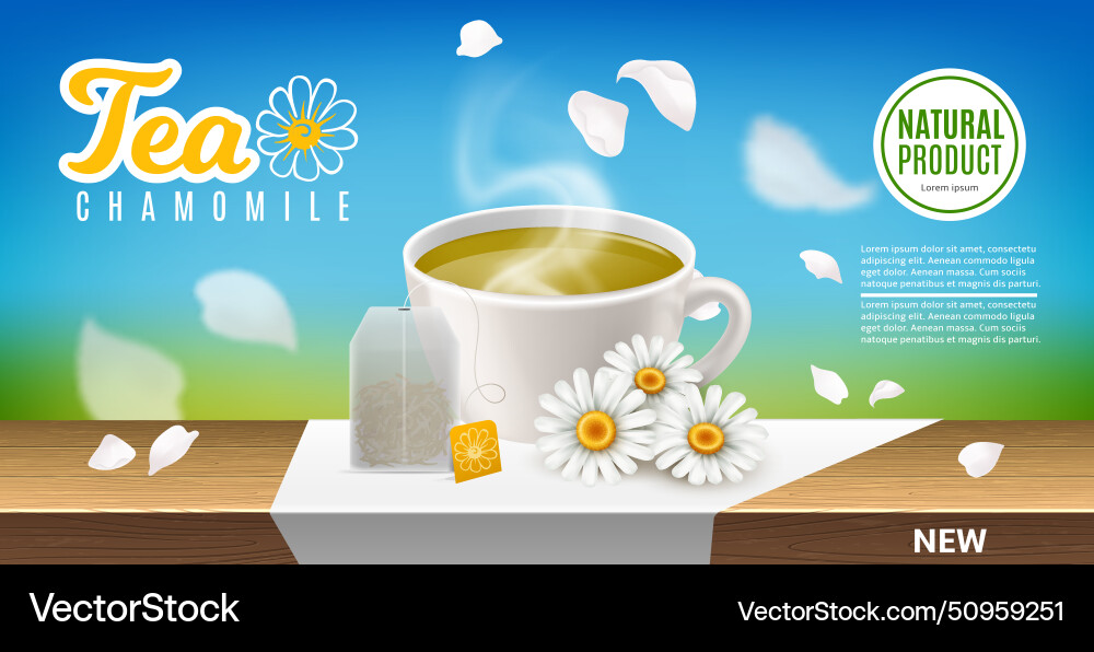 Chamomile tea poster herbal beverage advertising Vector Image