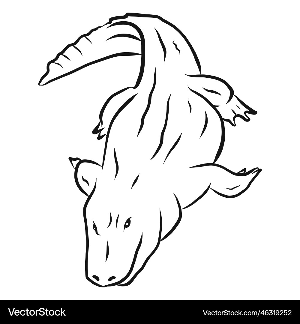 Alligator tail crocodile sketch Royalty Free Vector Image
