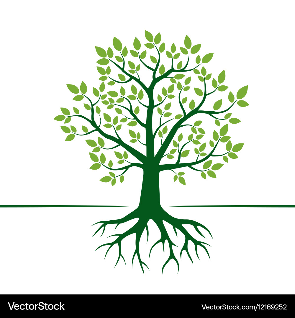 Green tree and roots Royalty Free Vector Image