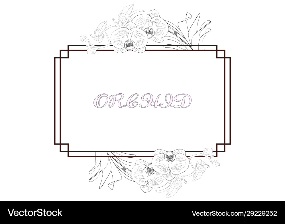 Orchid flowers frame Royalty Free Vector Image