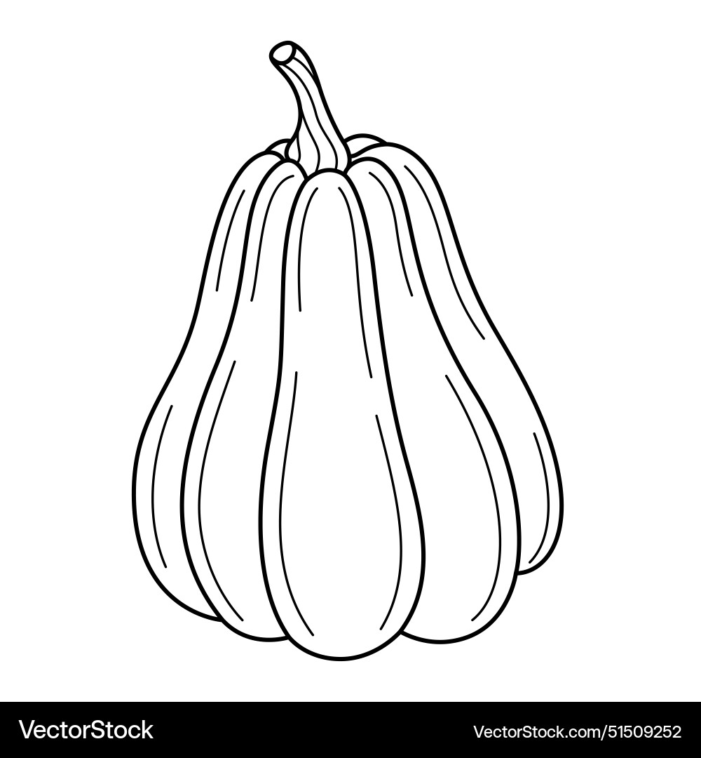 Pumpkin doodle icon art therapy coloring page Vector Image