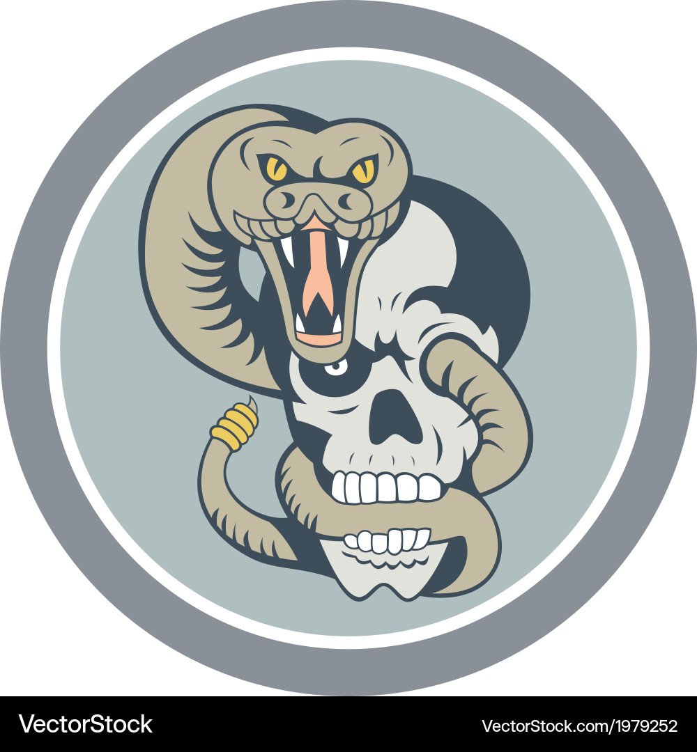Snake Skull Cartoon Royalty Free Vector Image - VectorStock