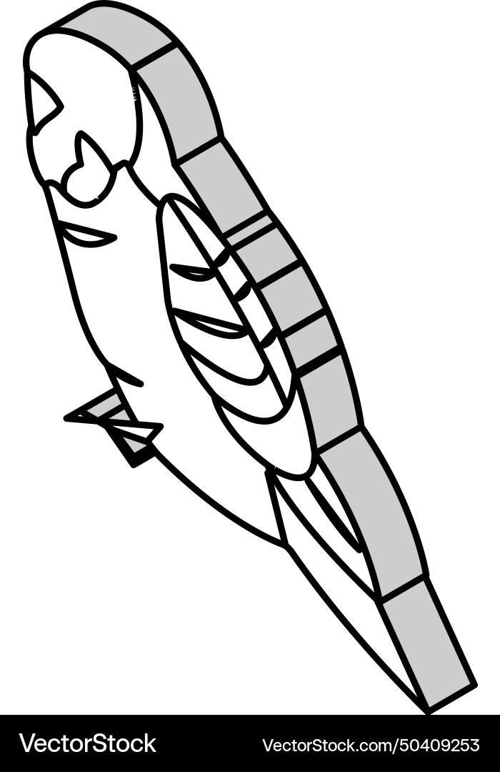 Budgerigar parakeet parrot bird isometric icon Vector Image