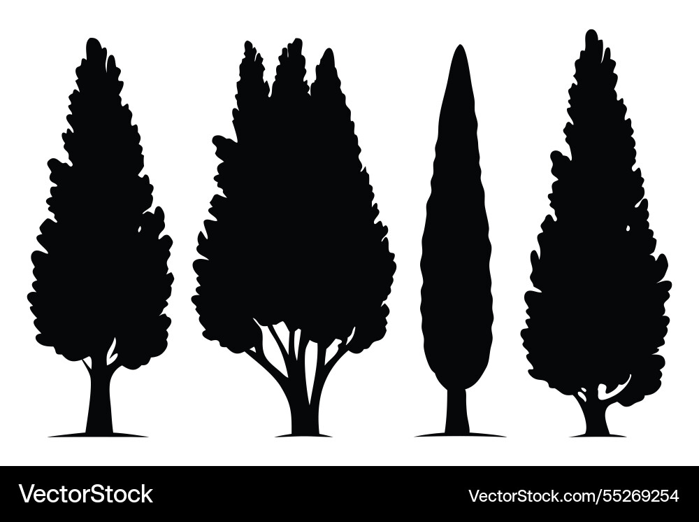 Cypress tree silhouettes set isolated flat on Vector Image