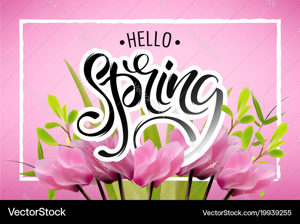 Lettering of brush hello spring you can use Vector Image