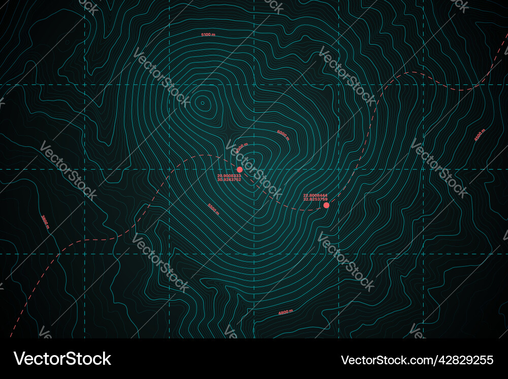 Modern detailed digital ui topographic map Vector Image