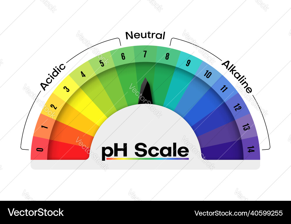 PH Scale Chart: Acids, Neutral, Alkaline Vector Image