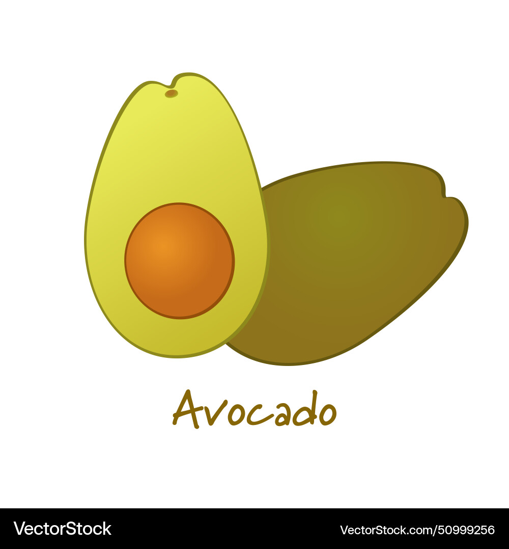 Avocado Royalty Free Vector Image - VectorStock