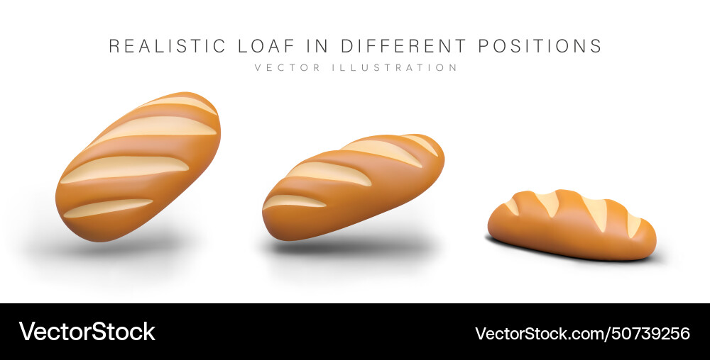 Realistic loaf in different positions delicious Vector Image