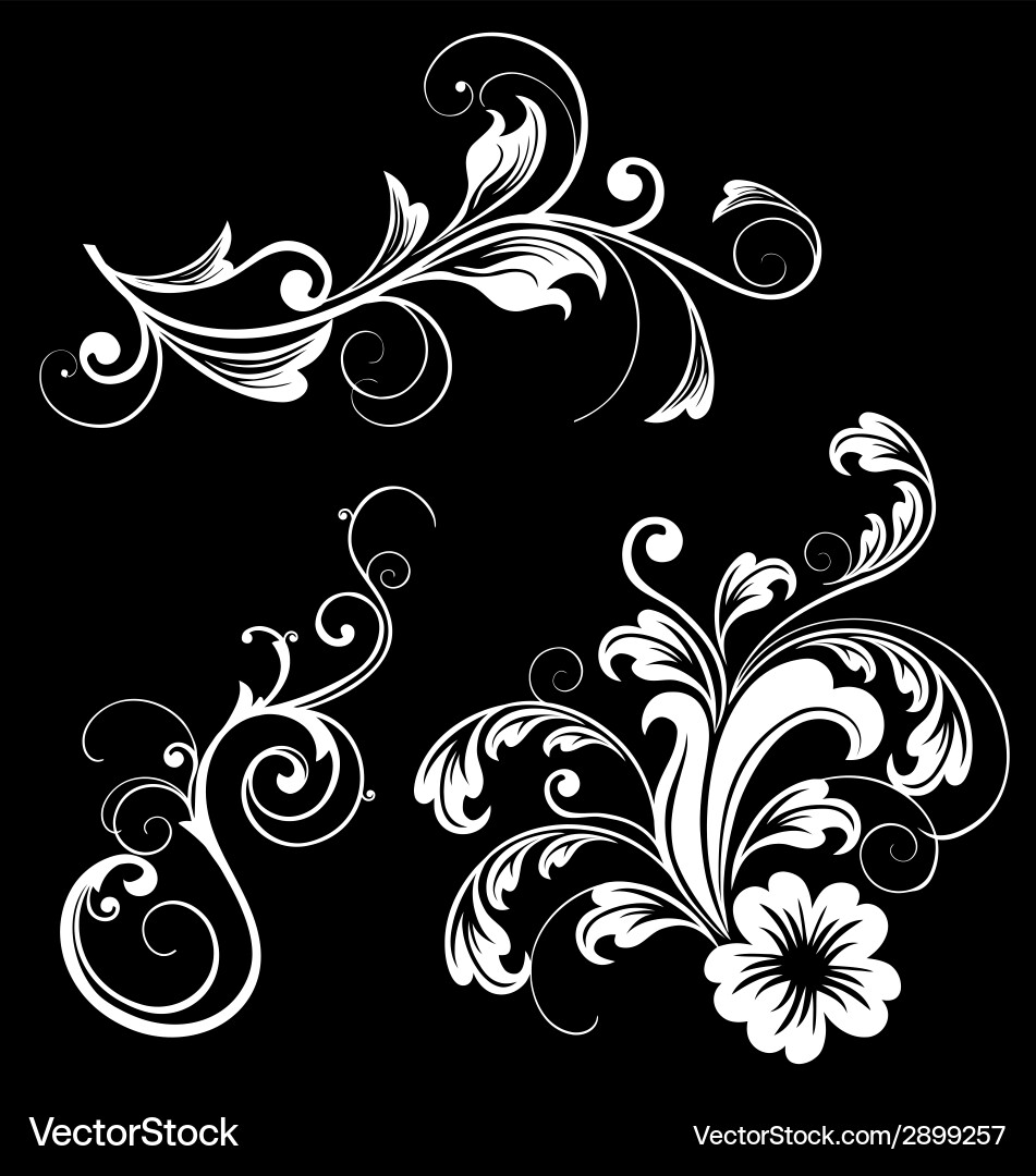 Flourish pack 1 Royalty Free Vector Image - VectorStock