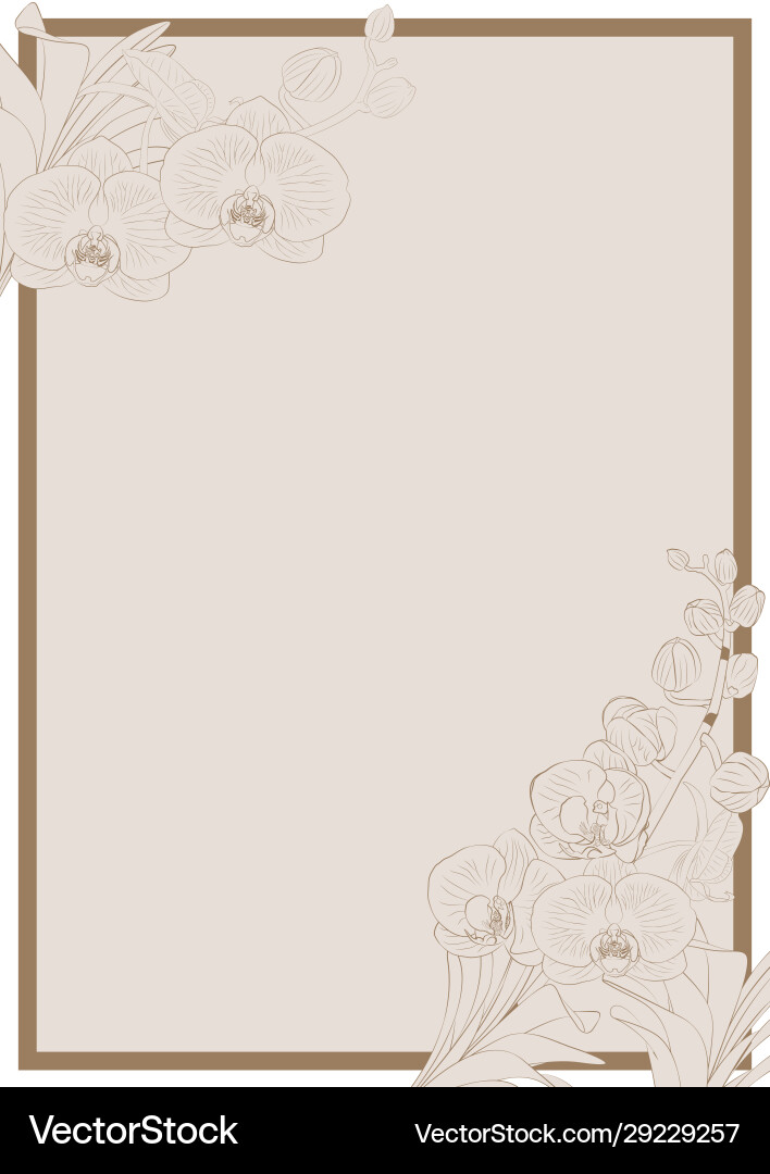 Orchid flowers frame Royalty Free Vector Image