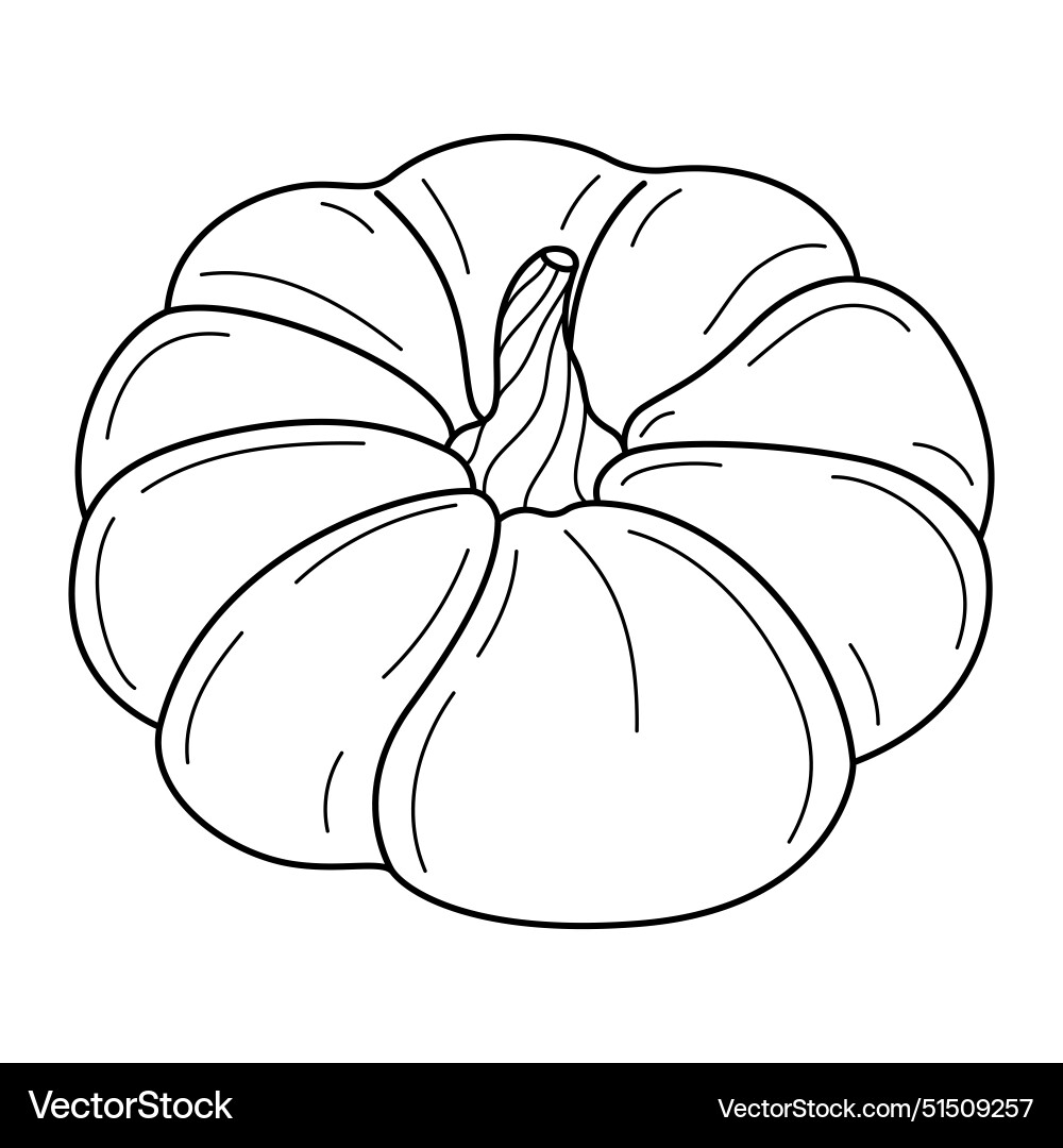 Pumpkin doodle icon art therapy coloring page Vector Image