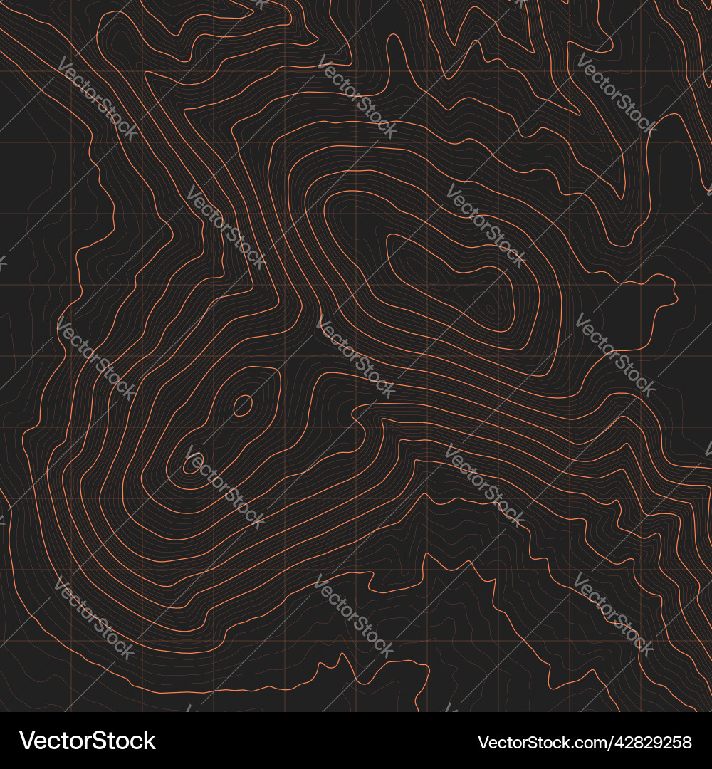 Black orange topography contour map abstract Vector Image
