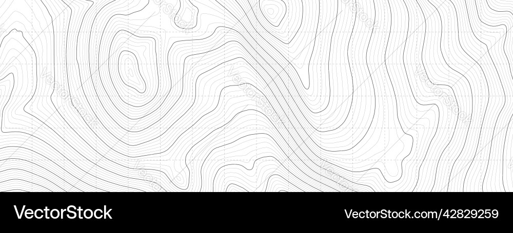 Black white topographic contour outline map Vector Image