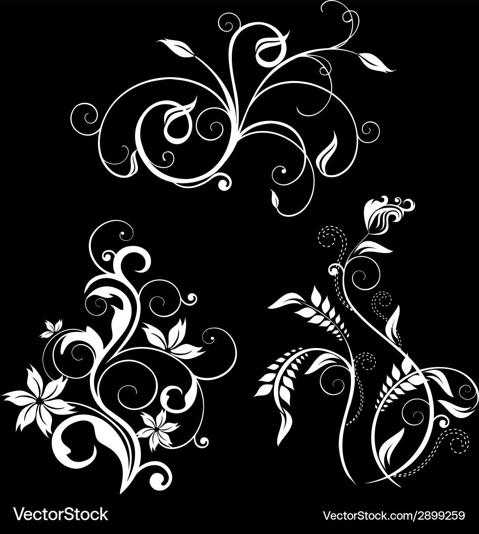 Flourish pack 2 Royalty Free Vector Image - VectorStock