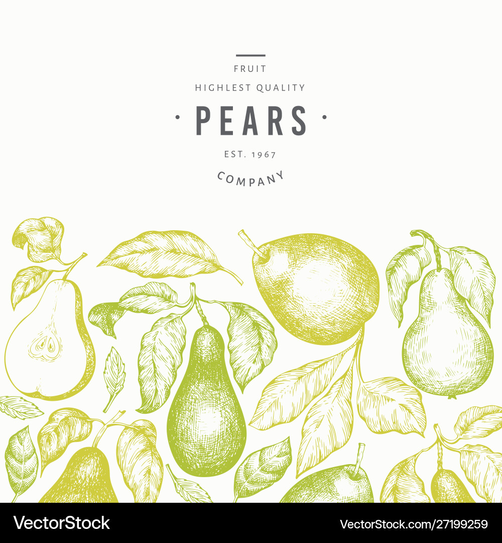 Pear design template hand drawn garden fruit Vector Image