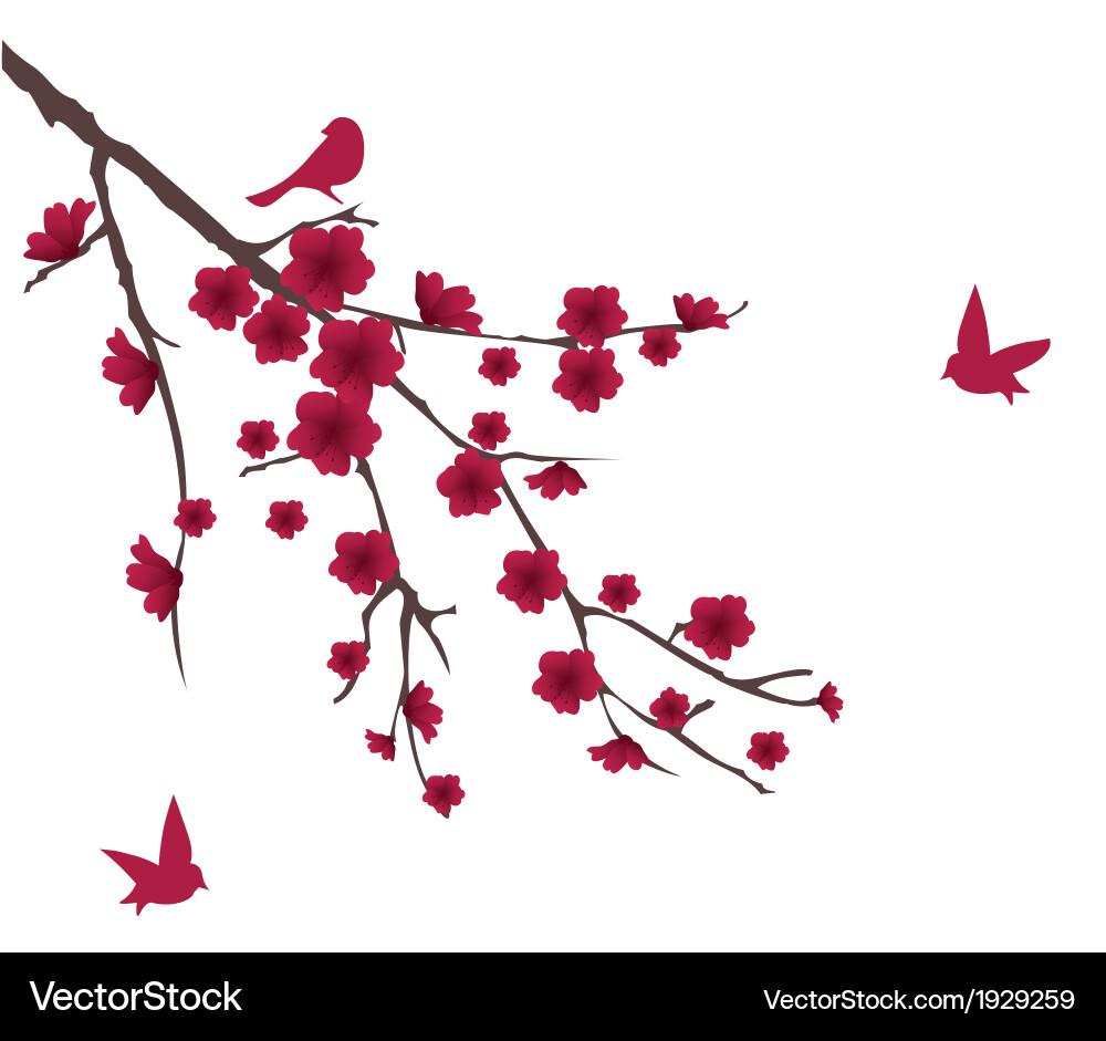Red Sakura Blossom Royalty Free Vector Image - VectorStock