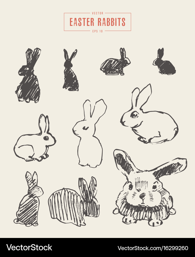 Collection realistic rabbits drawn sketch Vector Image