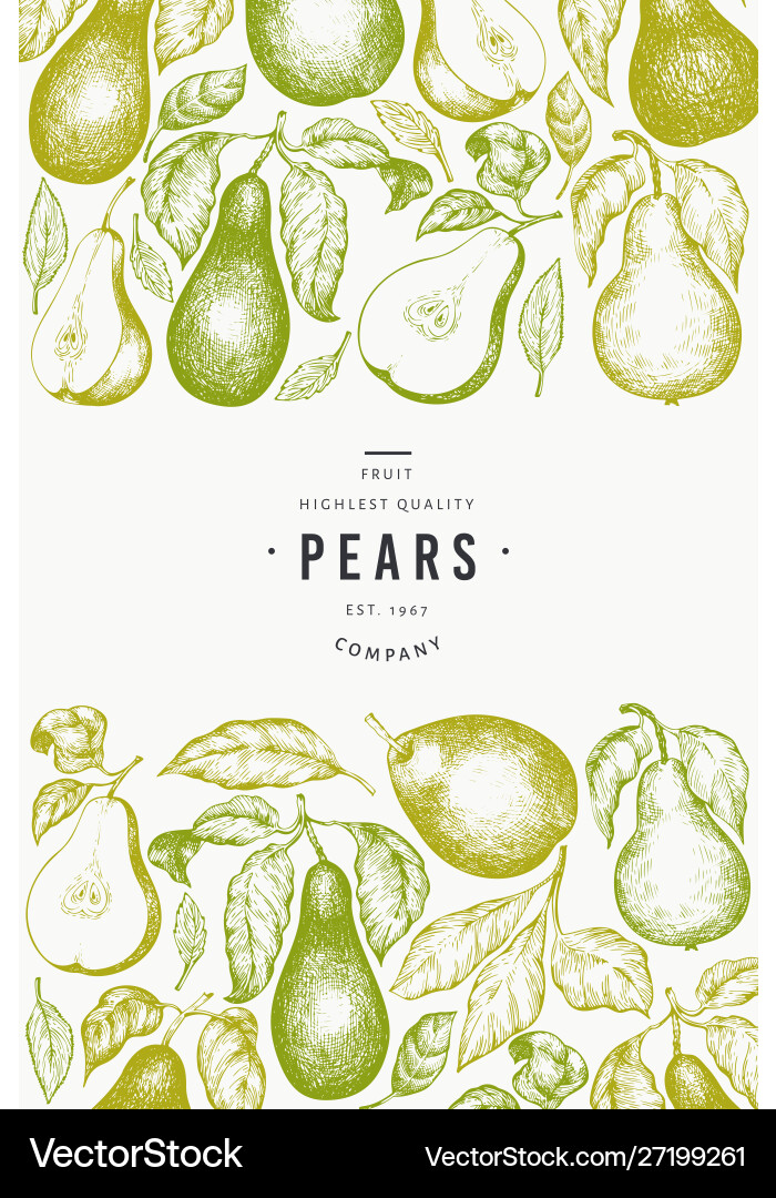 Pear design template hand drawn garden fruit Vector Image